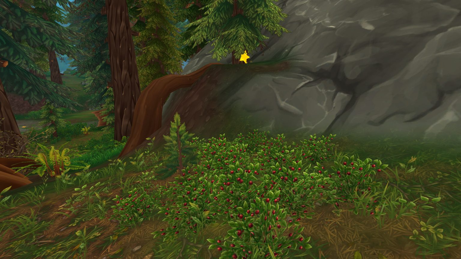 Sterne Wildwoods - SSO Hilfe